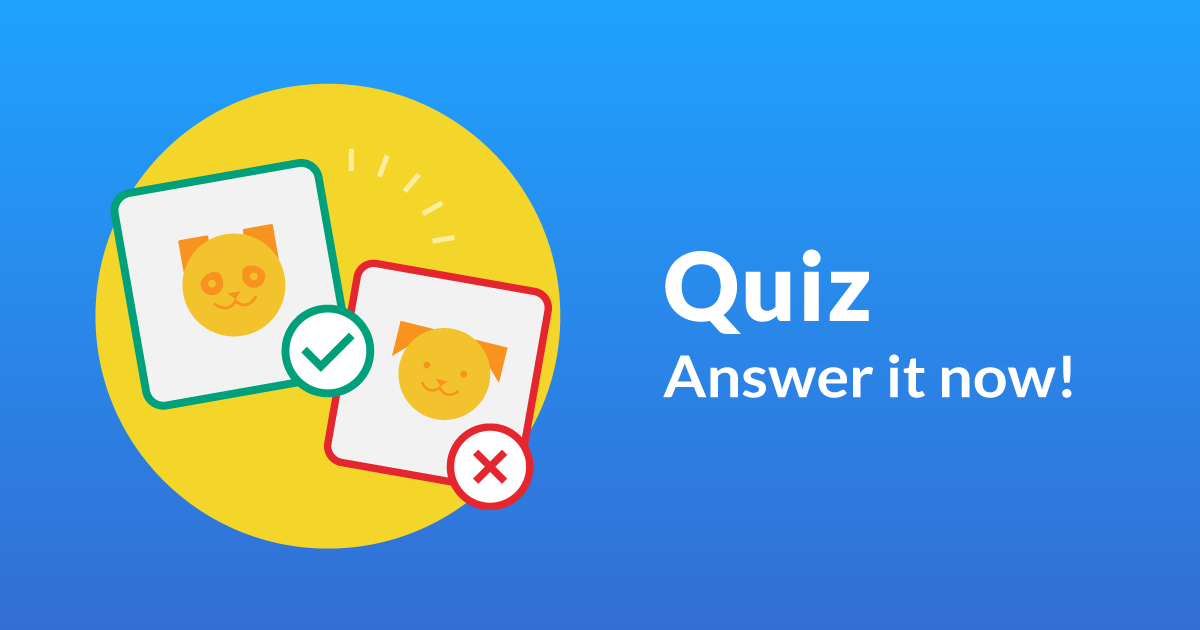 Quiz Test